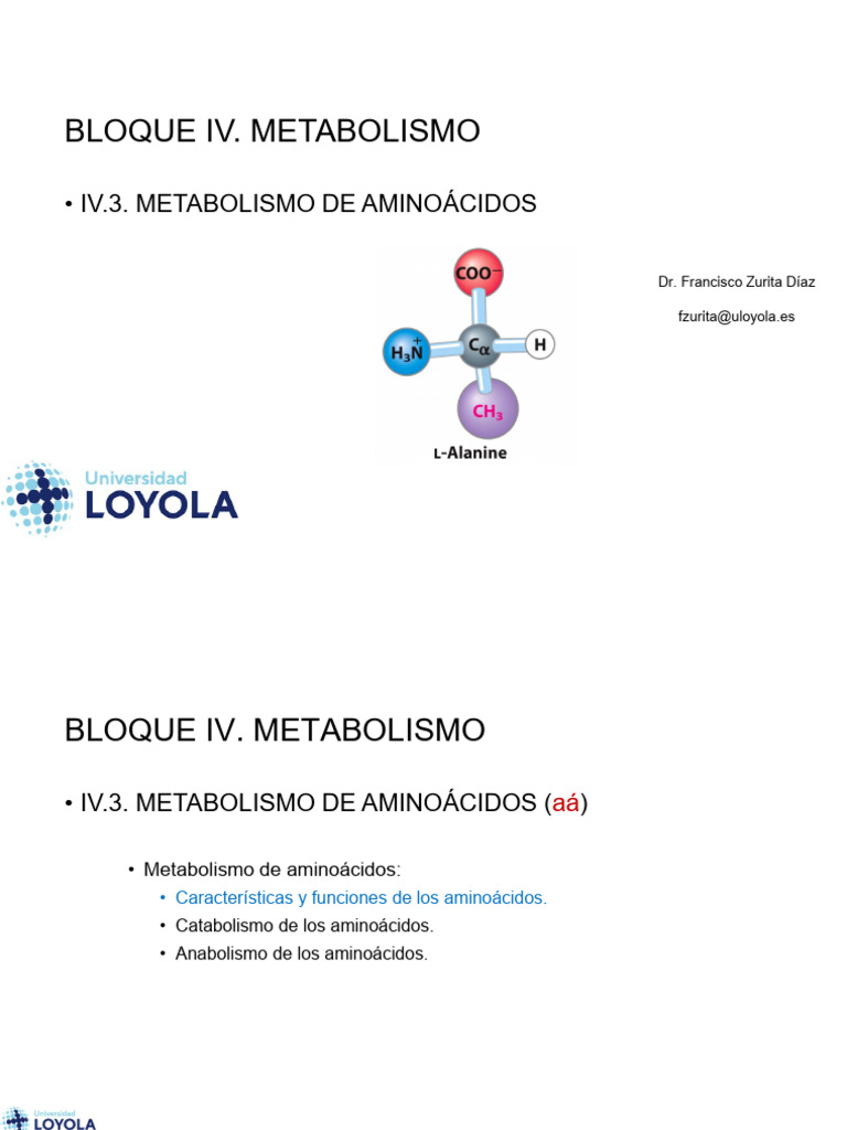BIV.T3 Metabolismo de Aminoácidos | PDF | Transaminasa | Metabolismo