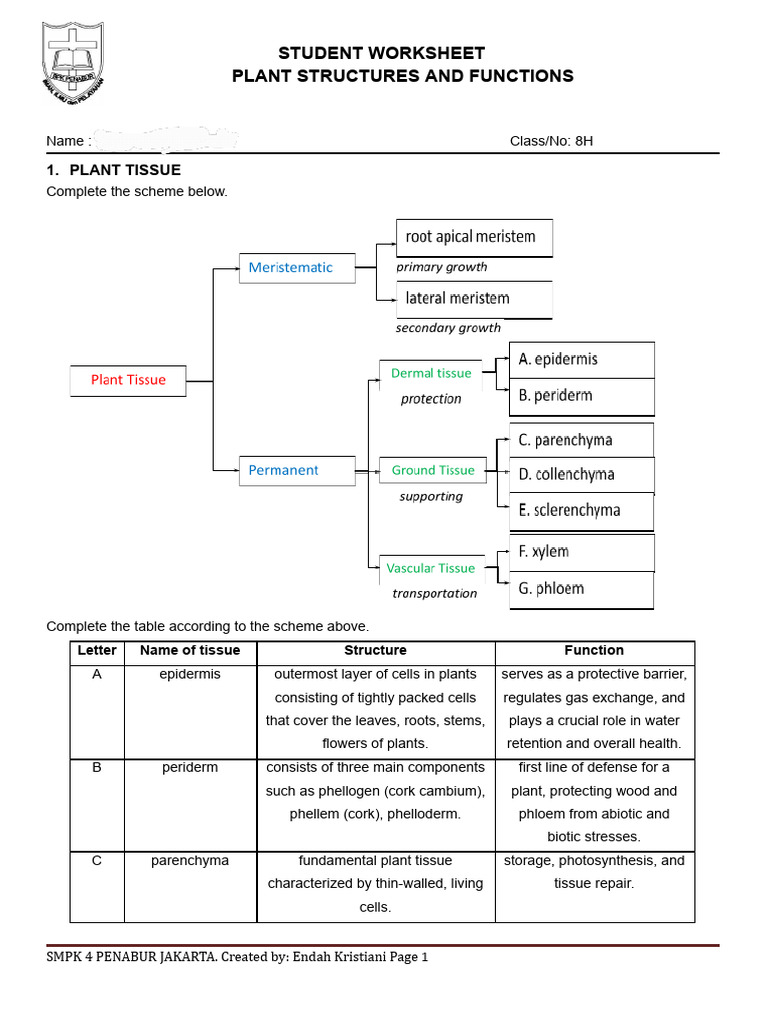 Chapter 1 Plant Structures and Functions | PDF | Plant Stem | Tissue ...