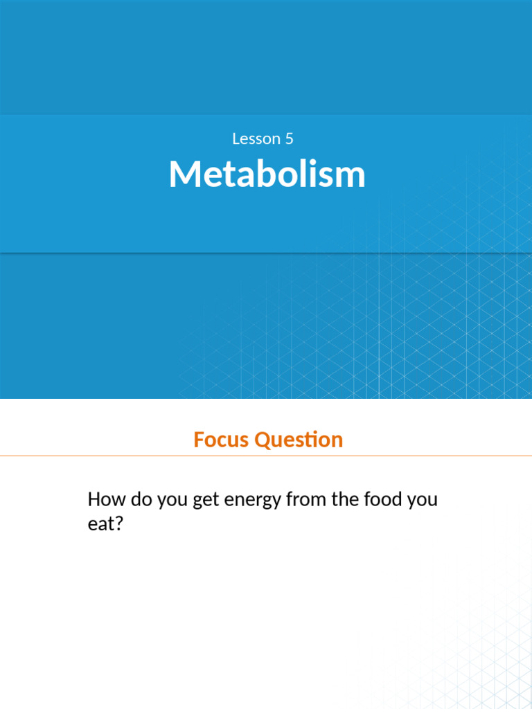 Teacher+PowerPoint +metabolism | PDF | Metabolism | Cellular Respiration