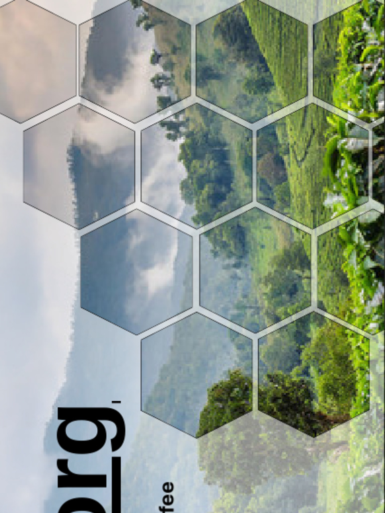 Explore Coorg: Culture, Wildlife & Adventure | PDF