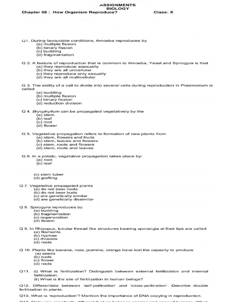 Class 10, Oct 24, Assignment | PDF
