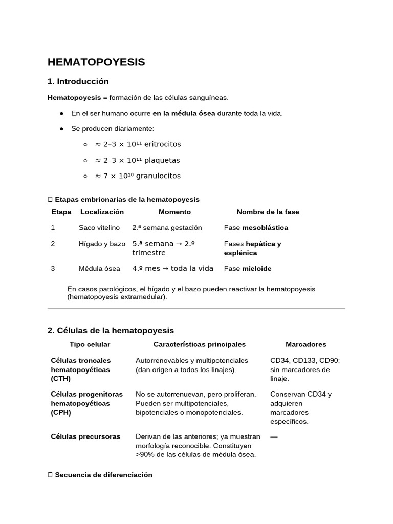 Resumen hematopoyesis CGPT | PDF | Hematopoyesis | Anatomía