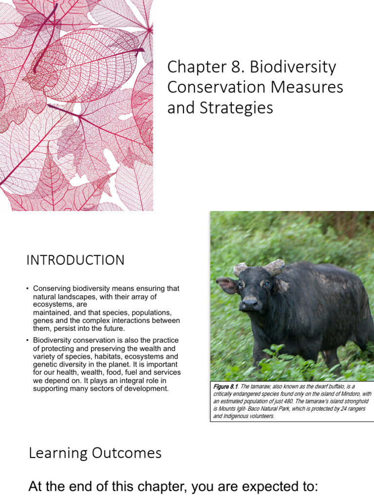 Biodiversity Conservation Strategies | PDF | Conservation Biology ...