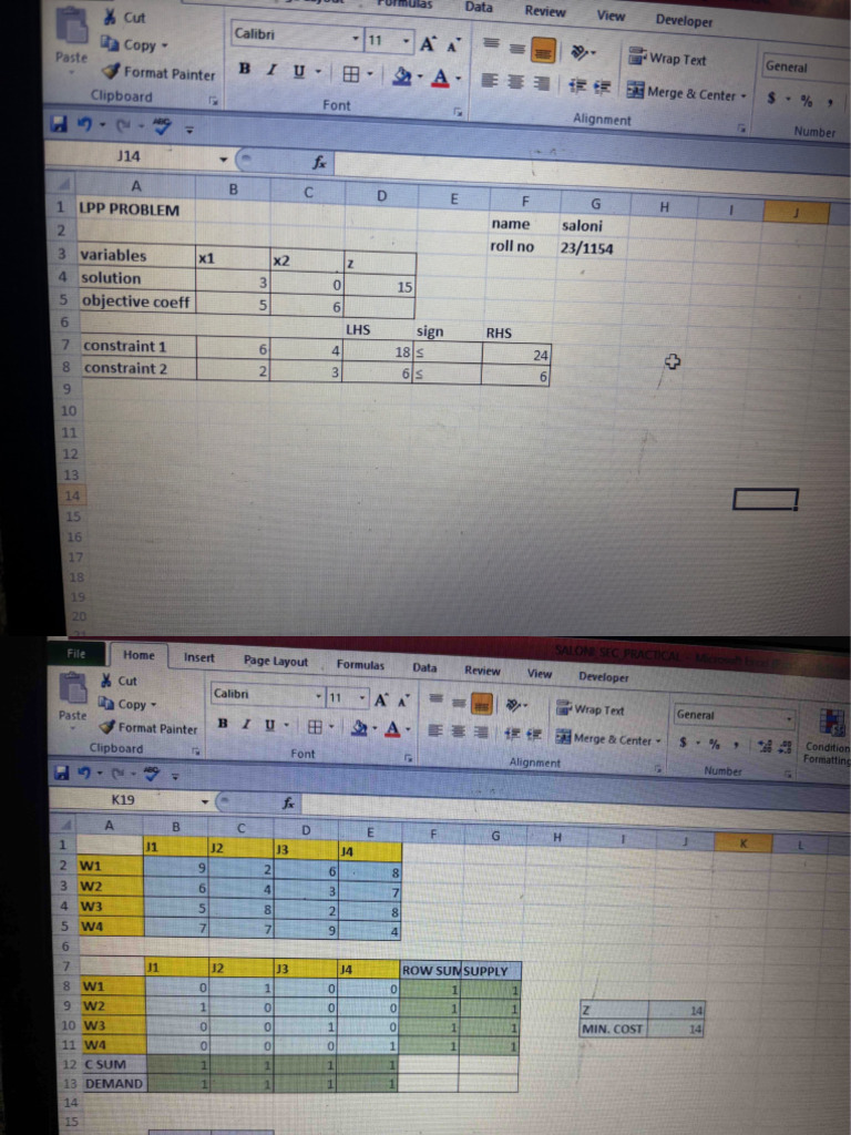Saloni Sec Practical | PDF