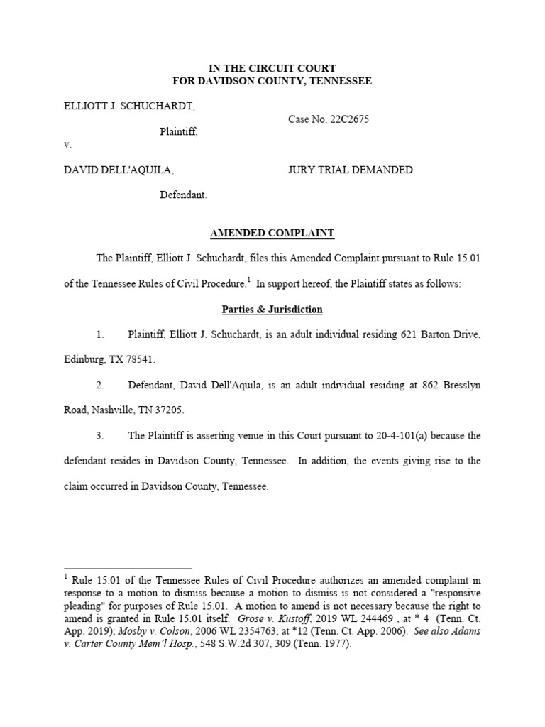 Complaint Against David Dell'Aquila For Slander | PDF | Defamation ...