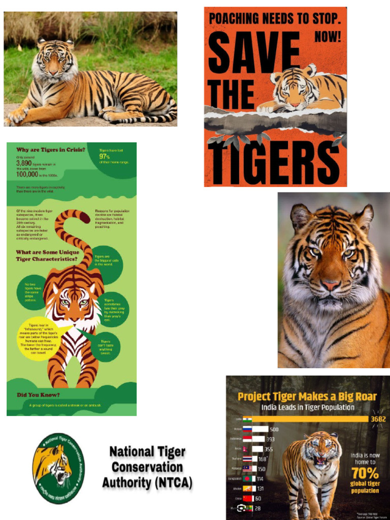 Project Tiger Print | PDF