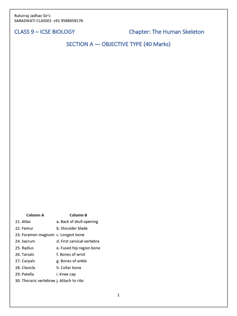 Class 9 ICSE Biology: Human Skeleton | PDF | Vertebra | Skeleton