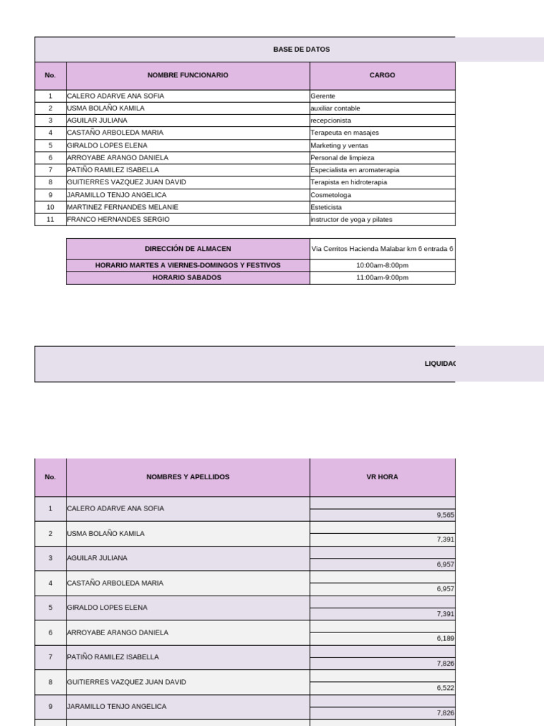 Proyecciones Proyectos 2025 Ankane Noviembre Corregido | PDF ...