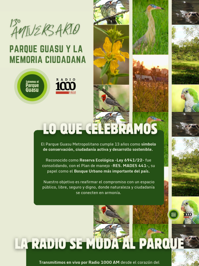 Presentación de PGM | PDF