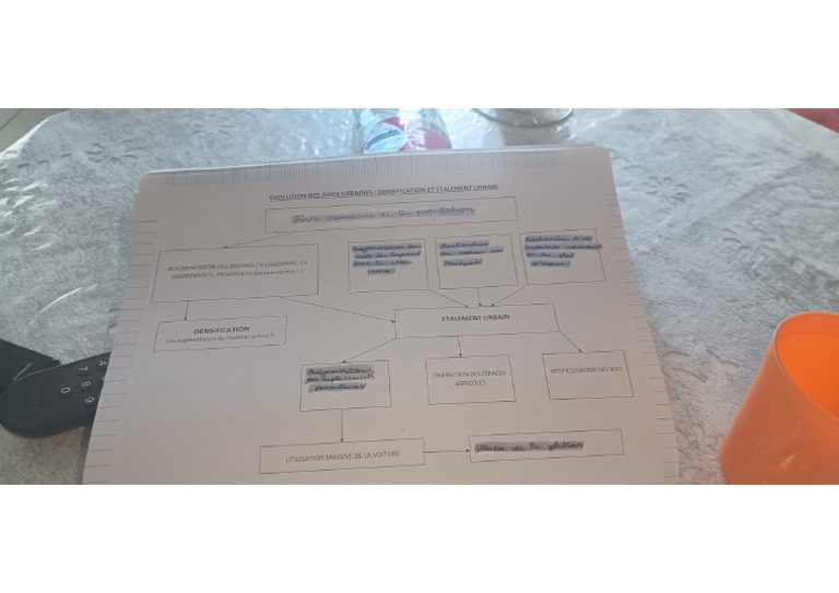 Cours Histoire | PDF