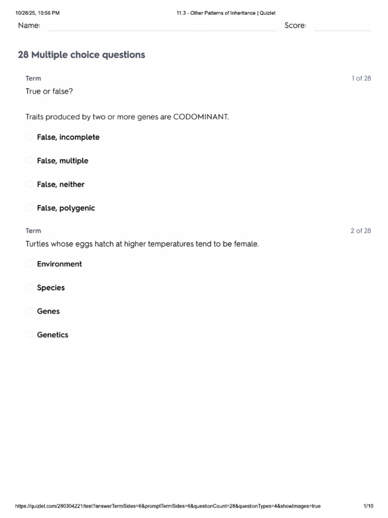 Grade 10 Worksheet | PDF