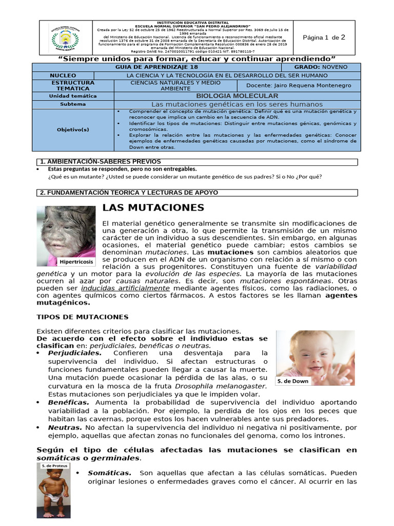 Guia 18 Las Mutaciones | PDF | Mutación | Gene