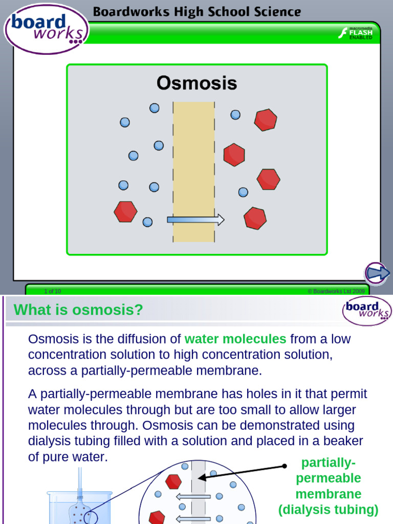 Osmosis (1) | PDF | Osmosis | Cell (Biology)