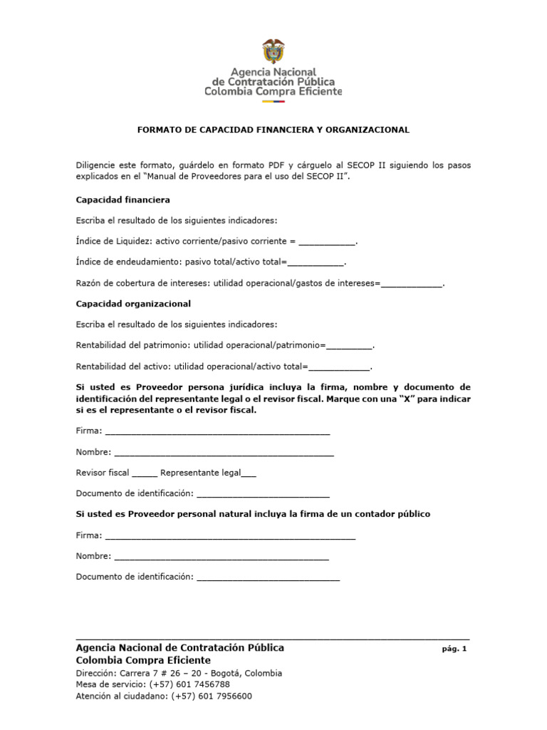 2formato Capacidad Financiera Proveedor | PDF