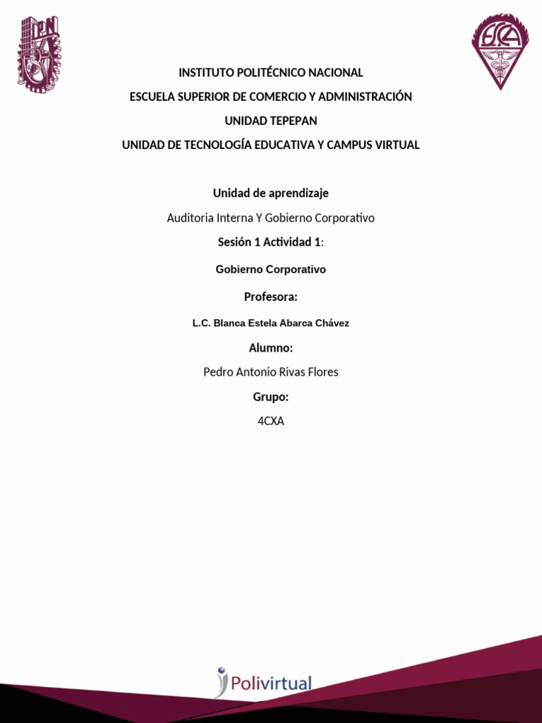 S1A1 | PDF | Gobierno corporativo | Business
