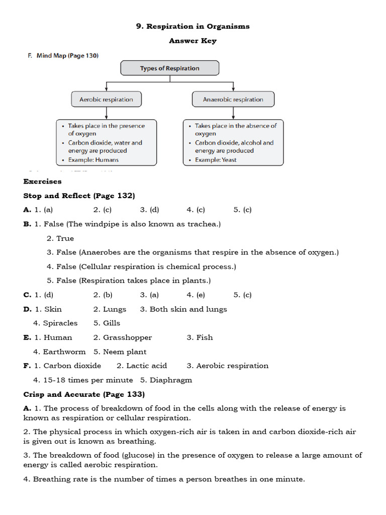 Class 7 Answer Key Respiration in Organisms.1755684617 | PDF ...