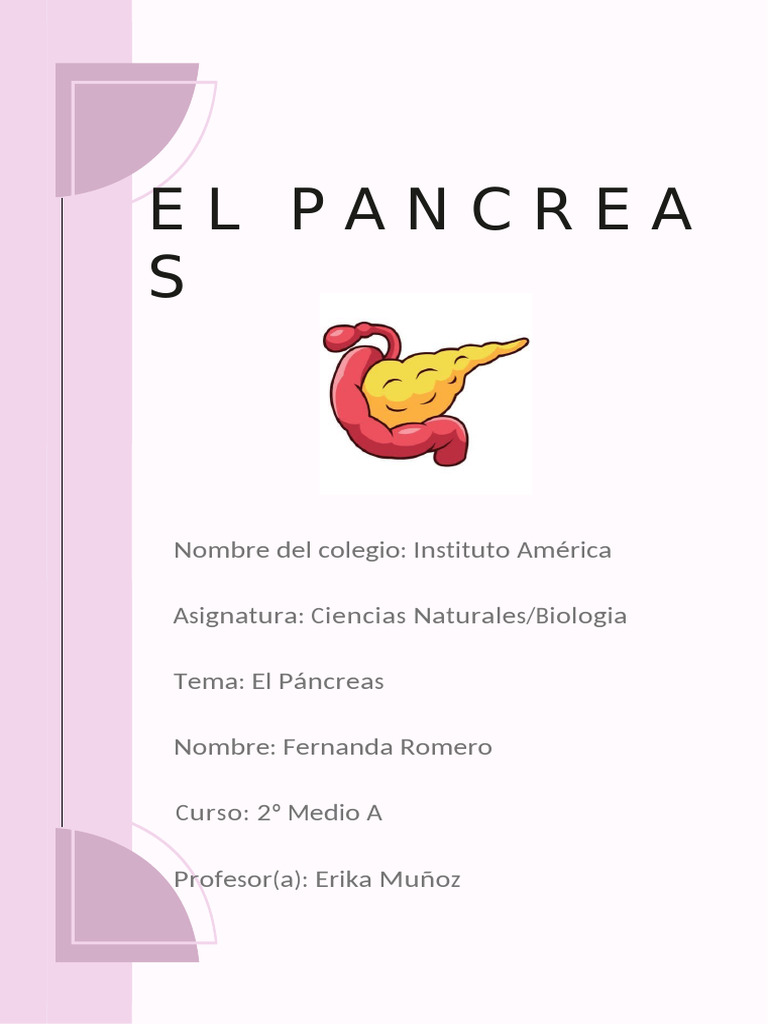 informe de fernandita | PDF | Páncreas | Digestión