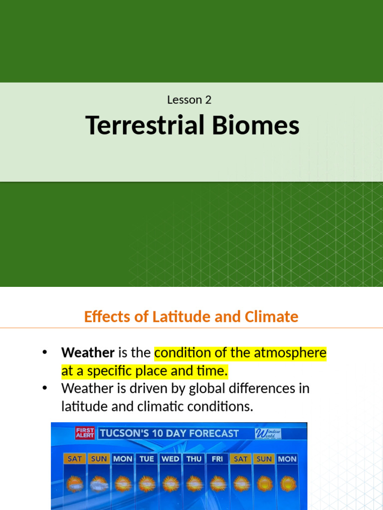 Terrestrial Biomes For Biology. | PDF | Forests | Rain
