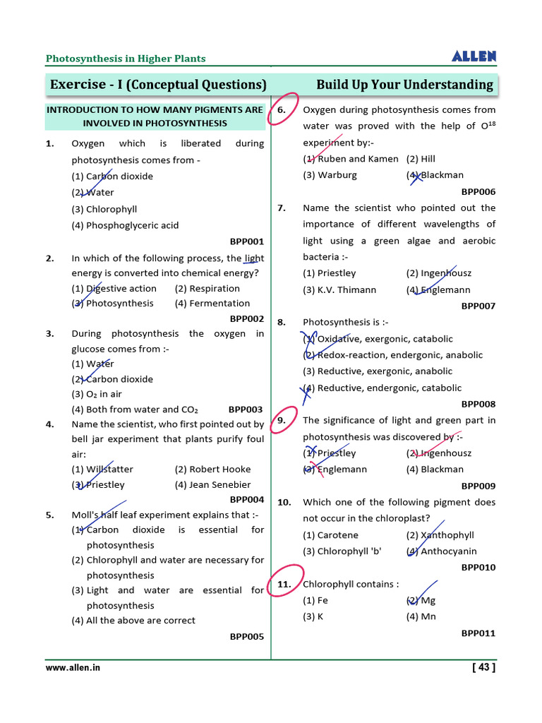 Exercise I-III Photosynthesis | PDF | Photosynthesis | Chloroplast