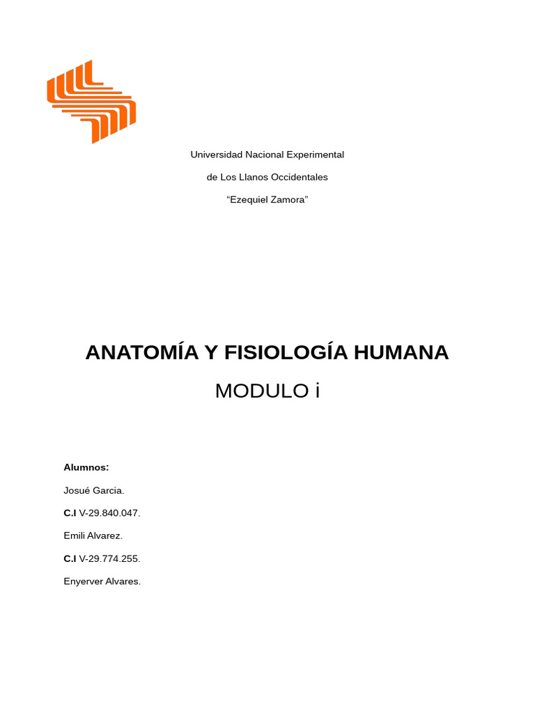 Informe Anatomía | PDF | Hueso | Esqueleto