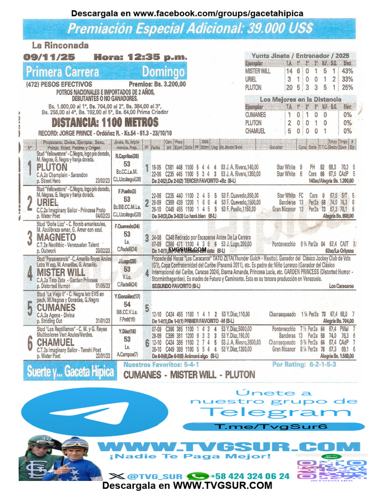 Gaceta Hipica La Rinconada Original - 251105 - 222240 | PDF