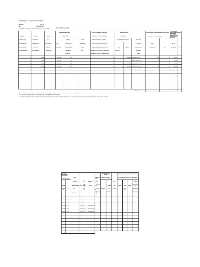 formato (1) | PDF | Factura