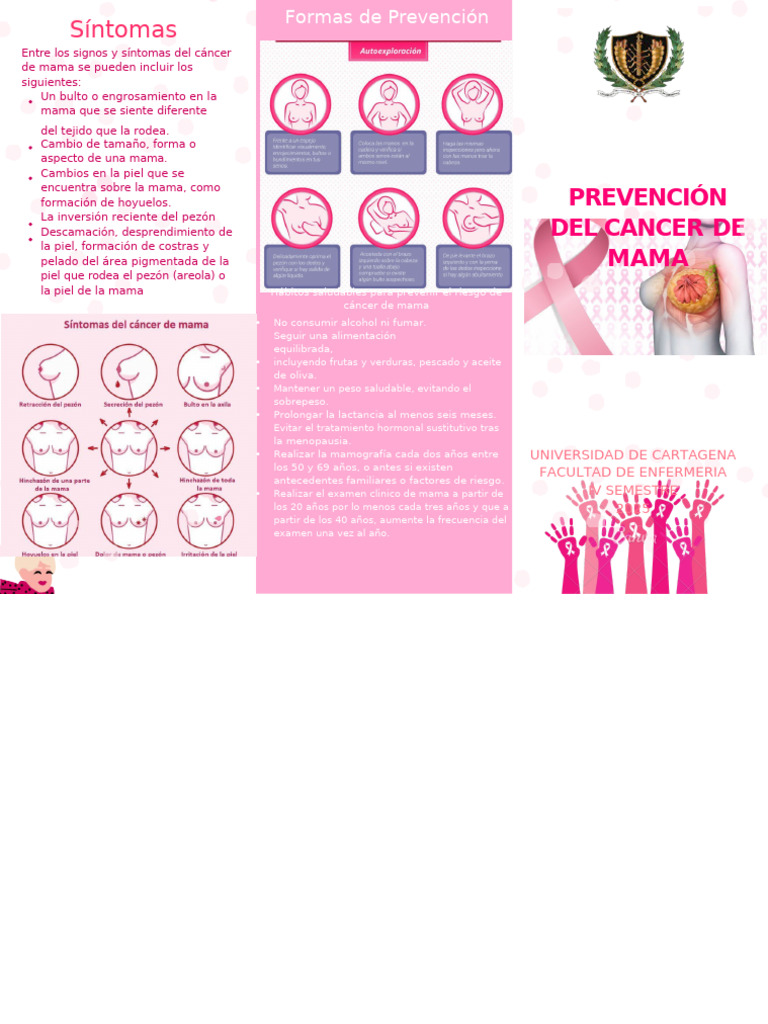 Folleto Sobre La Prevencion Del Cancer de Mama Ilustrado Moderno Rosa ...
