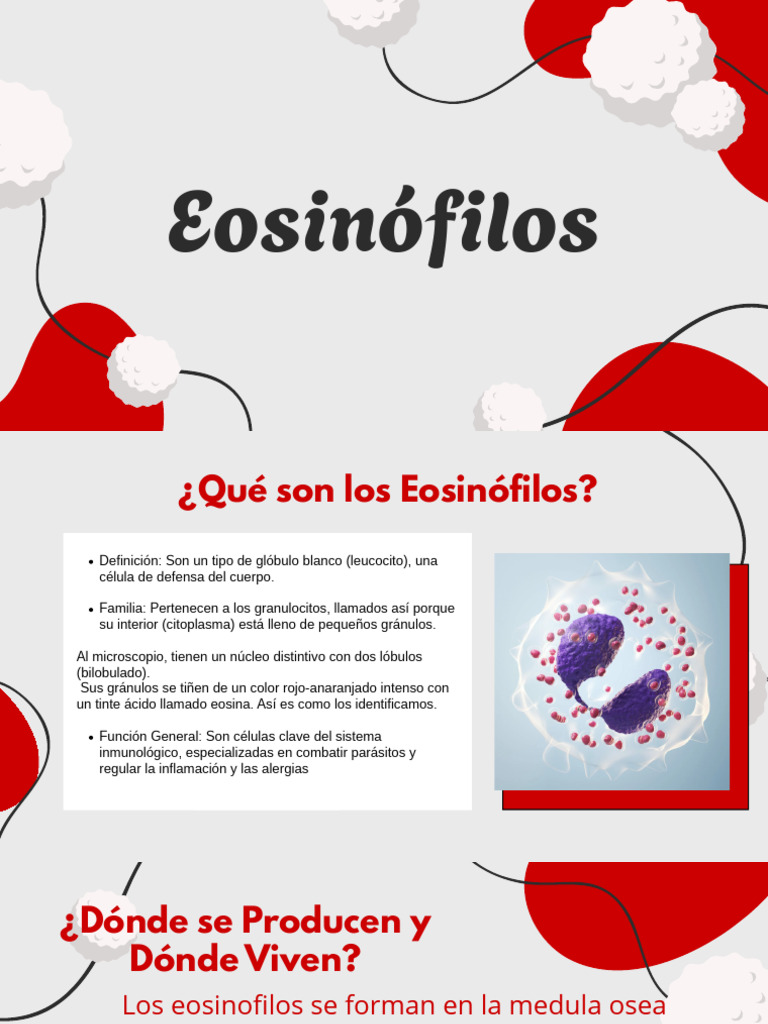Eosinófilos | PDF | Sistema inmune | Células