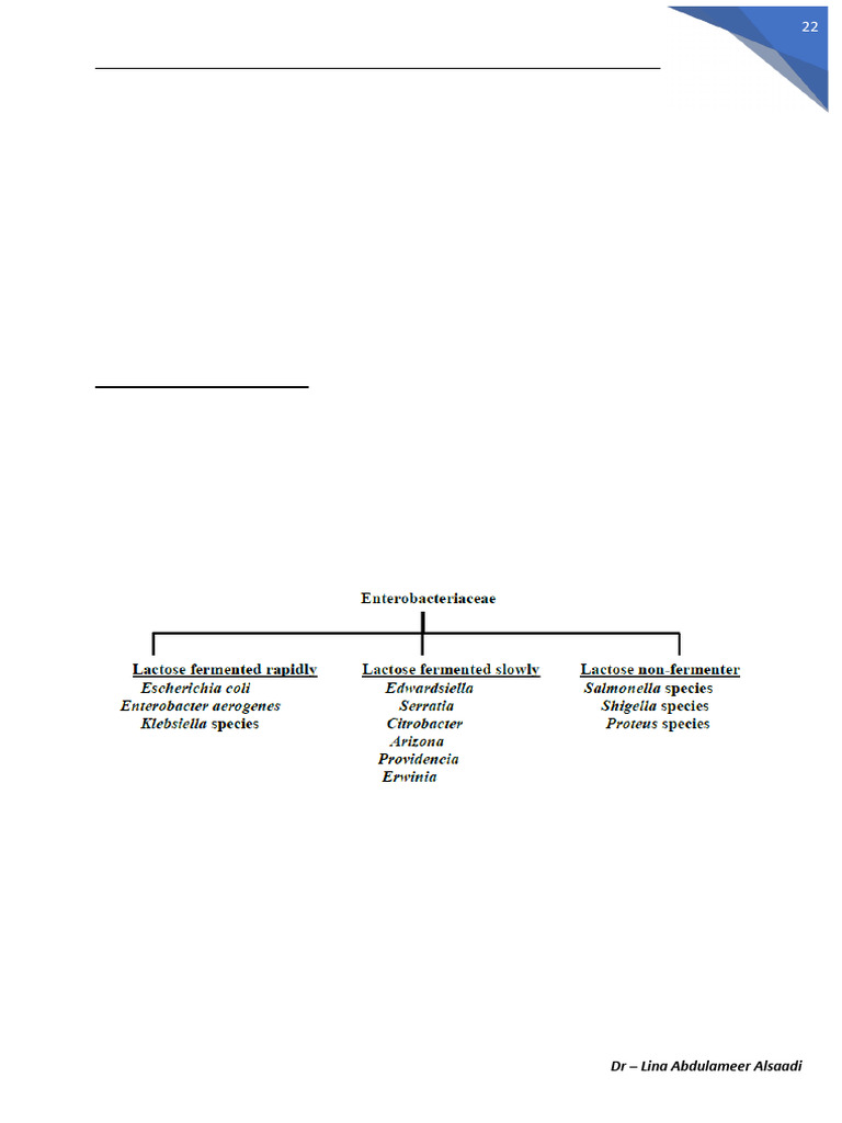 Enterobacteriaceae Pathogenic Bacteria Lab | PDF | Microbiology | Bacteria