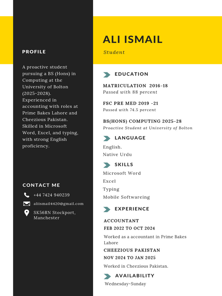 Ali Ismail Resume | PDF