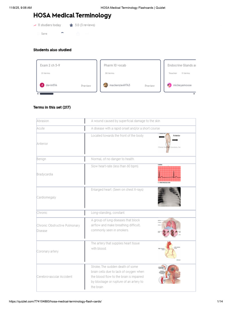 HOSA Medical Terminology Flashcards - Quizlet | PDF | Lung | Clinical Medicine