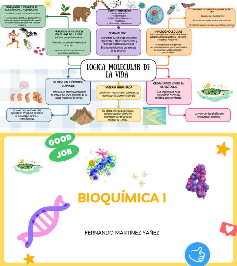 Logica Molecular Mapa Mental | PDF | Organismos | Nucleótidos