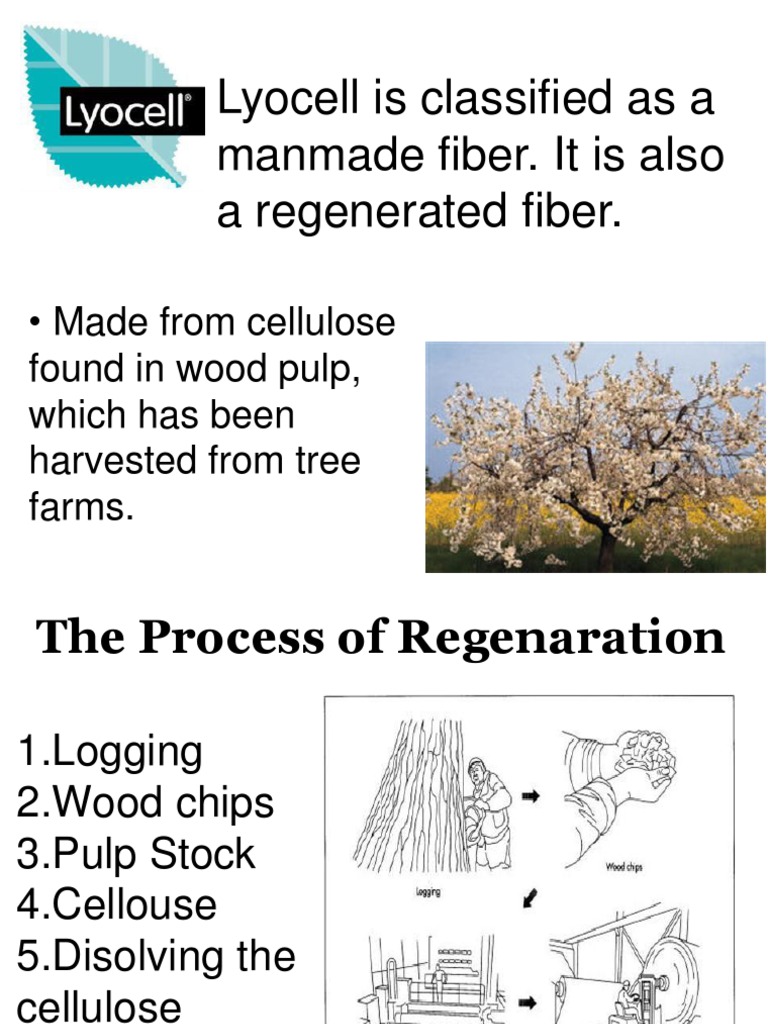 Lyocell Fiber: Properties and Benefits | PDF