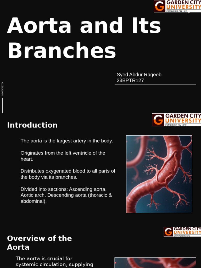Aorta and Its Branches 23BPTR127 | PDF