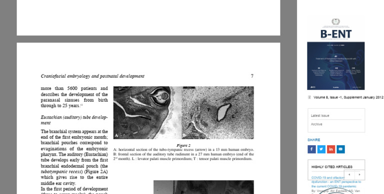 Craniofacial Embryology and Postnatal Development of Relevant Parts of ...