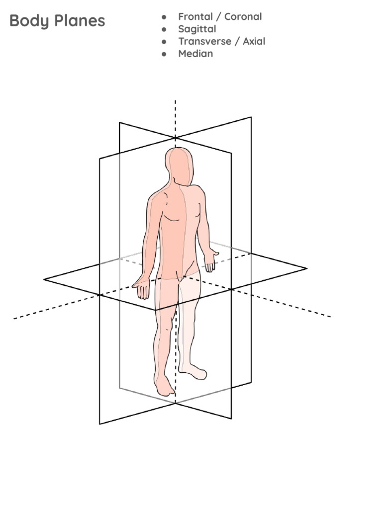 Body Planes & Cavities Diagrams | PDF