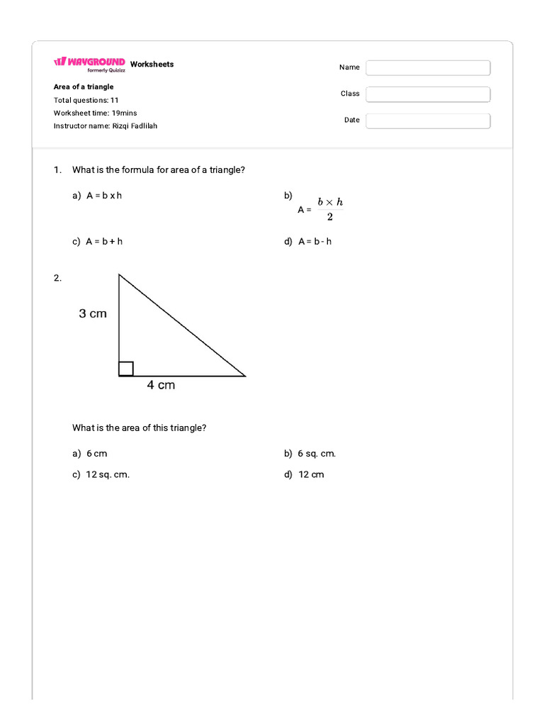 Triangle Area Worksheets for Students | PDF