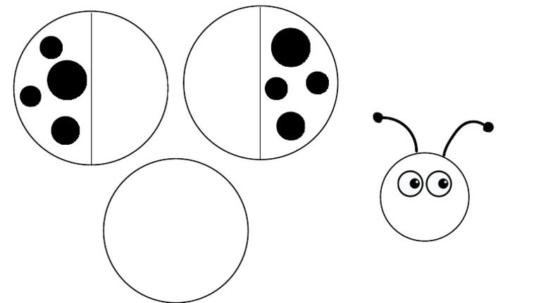 Ladybug | PDF