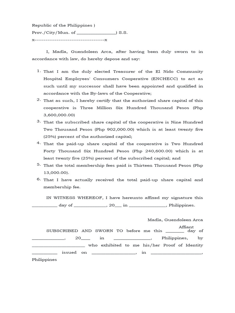 Treasurer Affidavit Primary | PDF