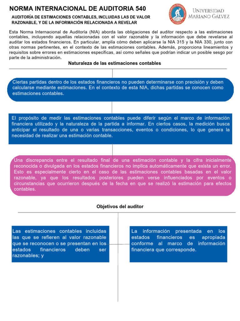 ESQUEMA NIA 540 | PDF | Auditoría | Contabilidad