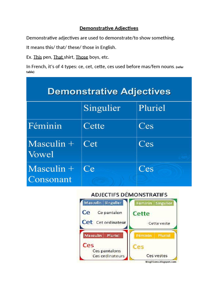 French Demonstrative Adjectives Guide | PDF
