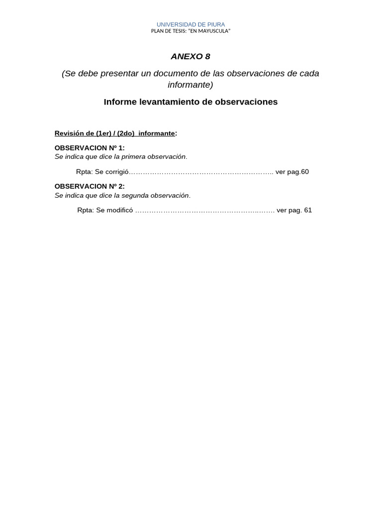 Levantamiento de Observaciones | PDF