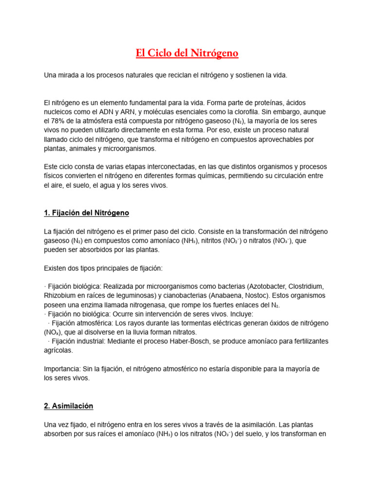El Ciclo Del Nitrógeno | PDF | Nitrógeno | Nitrato