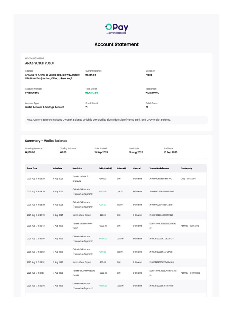 Detailed Account Statement Summary | PDF | Debit Card | Payments