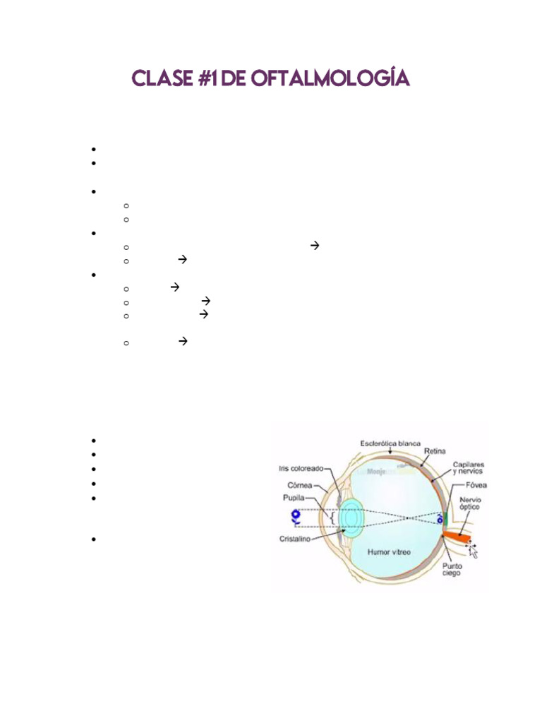 1 Optica y Refraccion | PDF | Ojo humano | Lentes