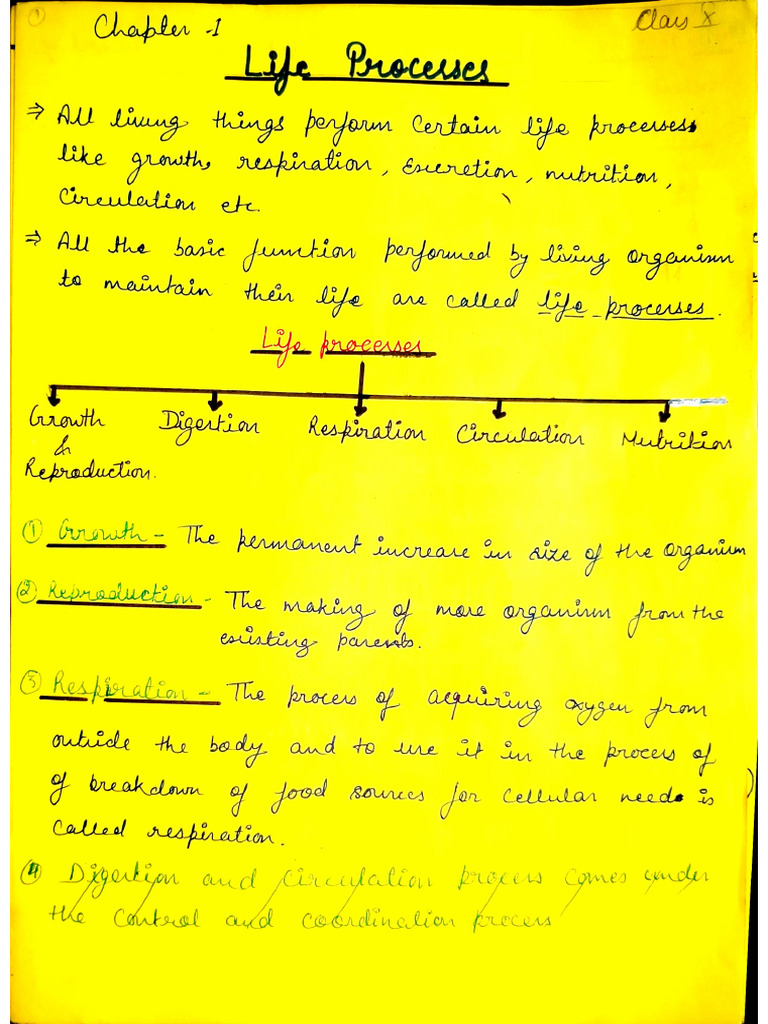 Class 10 Notes Life Process | PDF