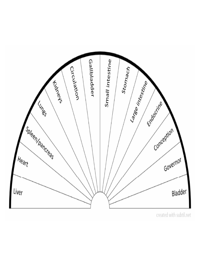 Acupunture Meridian | PDF