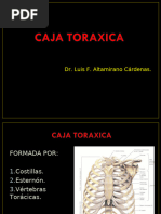 Anatomía de la Región Esternal | PDF | Tórax | Sistema esquelético