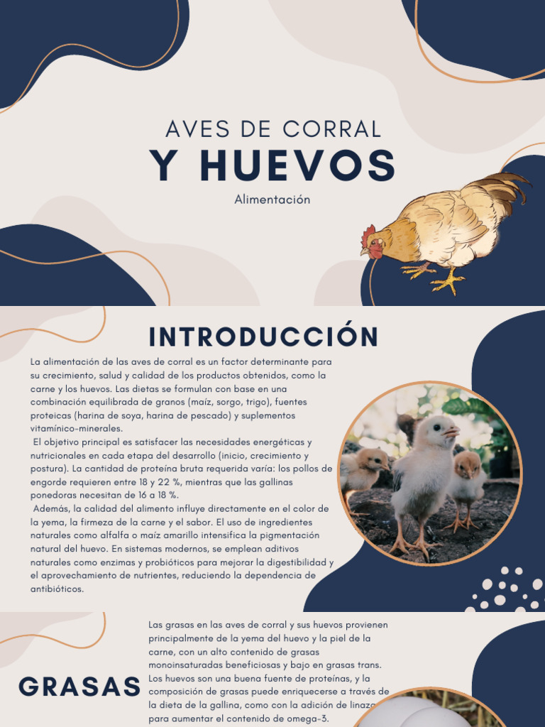 Alimentación y nutrición de aves de corral | PDF | Calcio | Carne