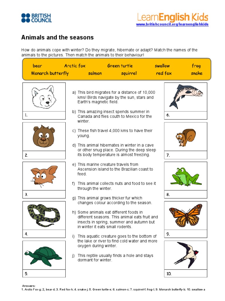 Animals and Seasons Activity 0 | PDF | Home & Garden